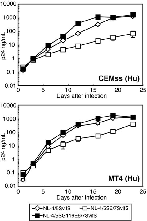 Replication Properties Of Hiv 1 Derivatives Equal Amounts Of