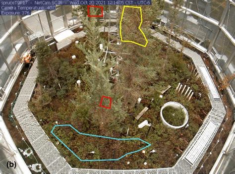 Using Long Term Data From A Whole Ecosystem Warming Experiment To Identify Best Spring And