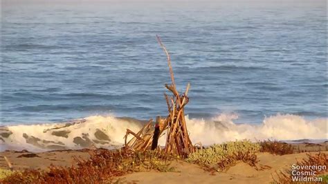 Sasquatch Stick Structures 001 Youtube