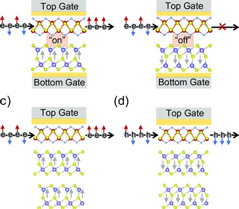 Two Types Of Spin Fets A B Atom Thick Multiferroic Memory Based On