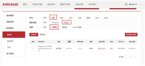 人大金仓kingbase数据库部署体验 Csdn博客