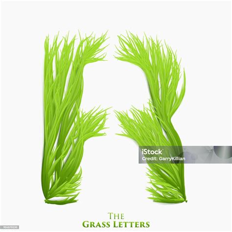 벡터 육즙 잔디 알파벳의 편지 R입니다 성장 하는 잔디로 구성 된 그린 R 기호입니다 유기 식물의 현실적인 알파벳입니다 봄 생태 그림 활자 0명에 대한 스톡 벡터 아트 및