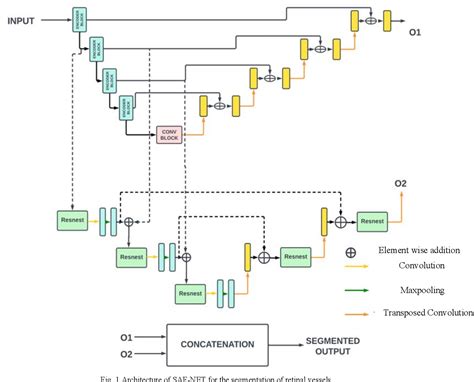 Figure 1 From Saf Net Split Attention Fusion Network For Retinal