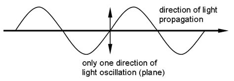 Polarization Optics By Vision And Control