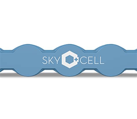 Company Skycell
