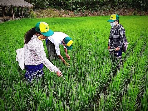 ကလေးခရိုင် မင်းကင်းမြို့တွင် ကိုဗစ် ၁၉ စီးပွားရေး ကုစားမှုအစီအစဉ်အရ