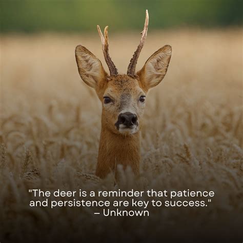 How To Sight In A Rifle Expert Tips For Perfect Accuracy The Deer