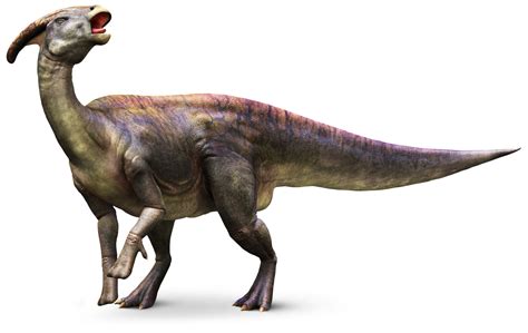 Parasaurolophus Parasaurolophus Facts Dk Find Out