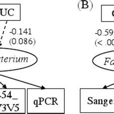 Path Diagram For A Latent Variable SEM With Covariates A A General Download Scientific