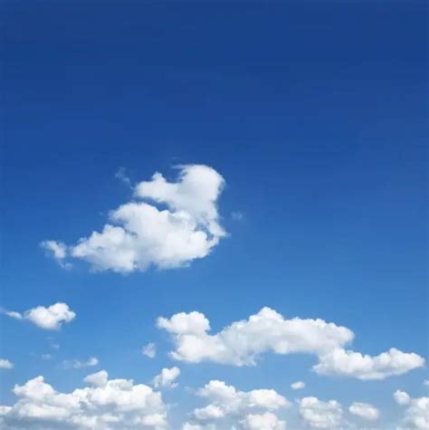 Software Distribution