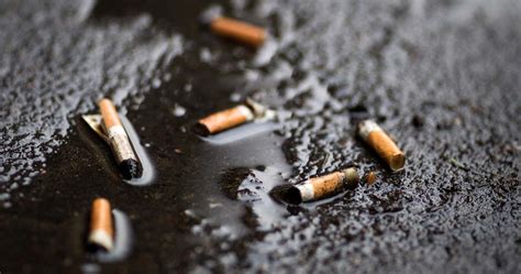 แต่ละปีพบ ‘บุหรี่ 4 5 ล้านล้านมวน ถูกทิ้ง ทำลายสิ่งแวดล้อม