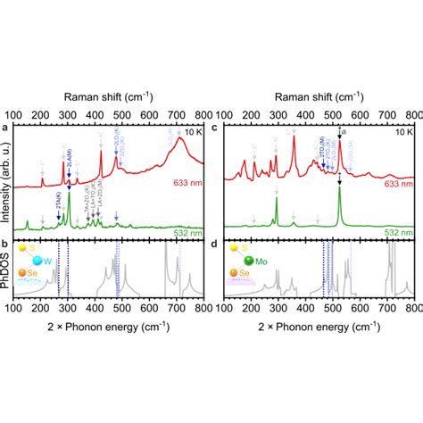 Higher Order Raman Processes In Janus Wsse And Mosse Monolayers Raman