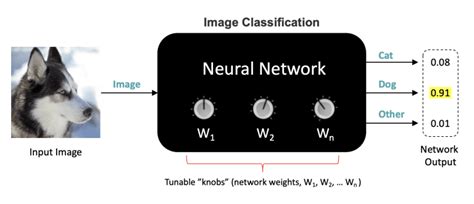 Image Classification Learnopencv