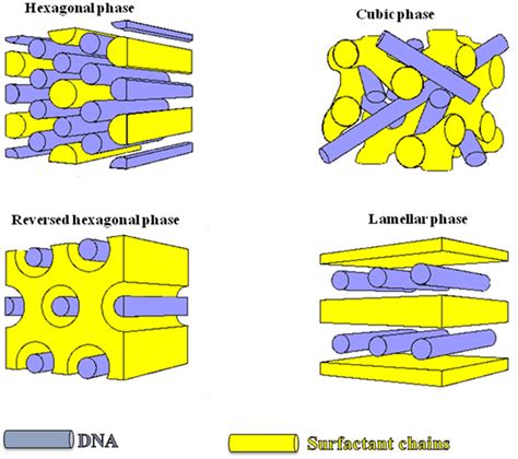 Typical Structures Formed In Mixed Systems Of A Polyelectrolyte And An