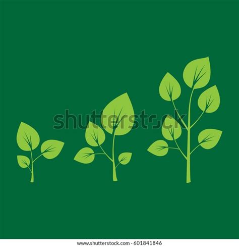 Tree Growth Diagram Green Tree Growth Stock Vector Royalty Free 601841846 Shutterstock