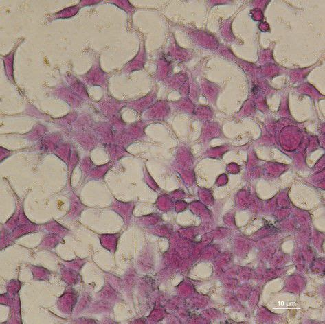 Gallery Enzyme Lab Zju