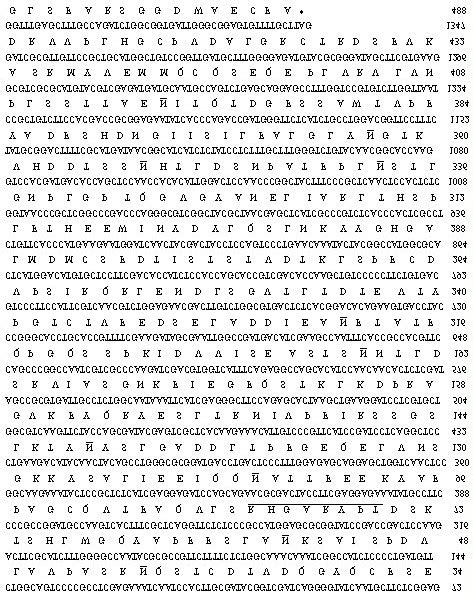 The Cdna Sequence Of Phya Gene From A Ficuum 44322 And Deduced Amino