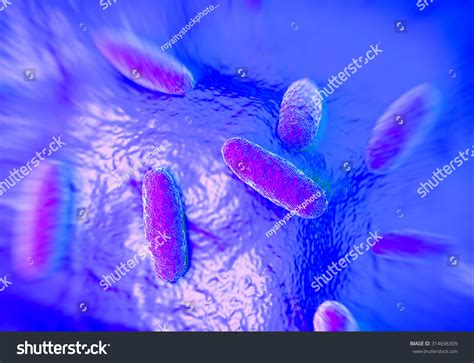 Salmonella Typhimurium Bacterium Flagellate Gramnegative Bacillus Stock