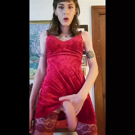 Free Hung Shemale Compilation Porn Videos Xhamster