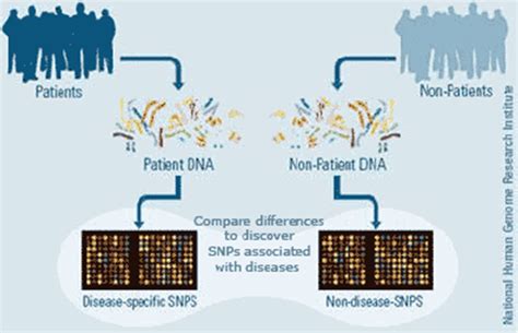 Wenhua Chengs Homepage