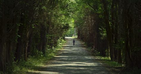 TCFF Decades Later Two Men Discover And Embrace A Binding Truth