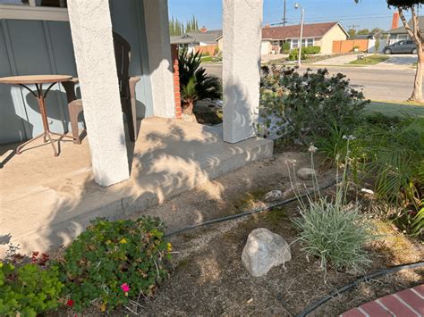 Shadows During The Eclipse See The Crescent Shapes R Orangecounty