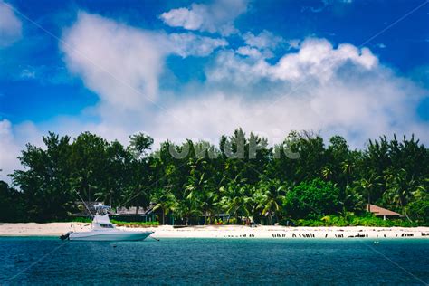해변 야자수 보트 셰이셀 Seychelles 사진이미지일러스트캘리그라피 Jasonph작가