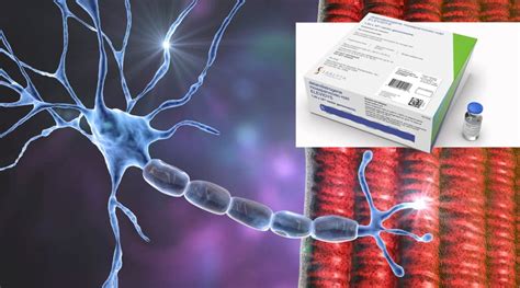 Fda Approves Yet Another Gene Tx Elevidys Anton Health