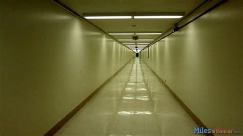 Making LAX Airside Connections Between Terminals