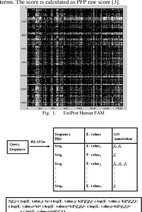 Figure 1 From Protein Function Prediction From Genome Sequence Based On