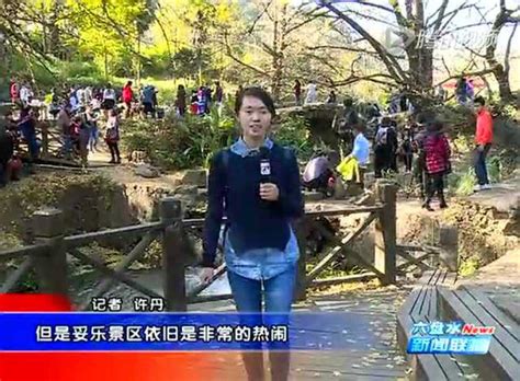 世界古银杏之乡妥乐景区单日游客量突破一万人高清1080p在线观看平台腾讯视频