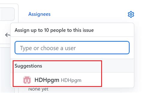 Github Issue Project