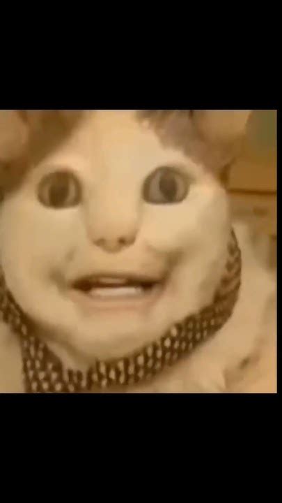 Бу испугался не бойся мем оригинал Shorts Youtube