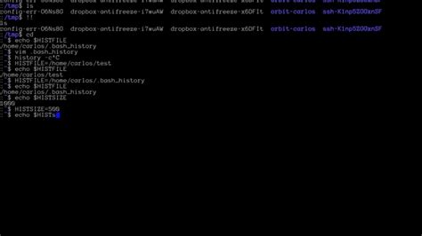 How To View Your Linux Show Shell Command History Bash Linux