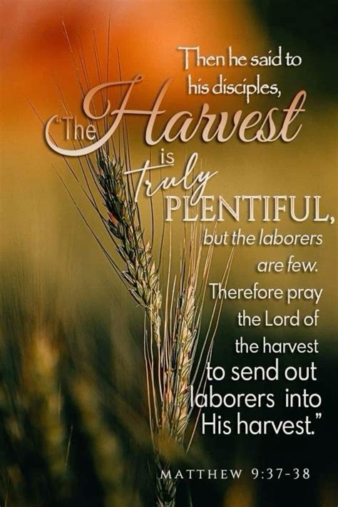 Pin By Sylvia Aguilar On Bible Time Thanksgiving Bible Verses
