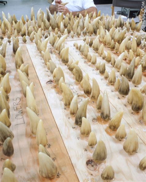 Jurassic Pedia The Unofficial Jurassic Series Encyclopedia