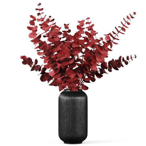 Bouquet Set 05 Colored Eucalyptus With Black Ikea 3d Model For Corona