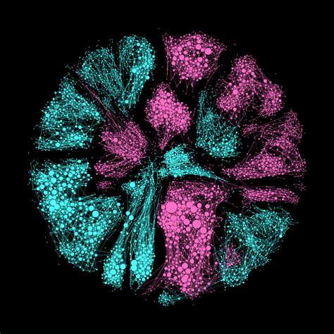A Quick Guide To Network Science Towards Data Science