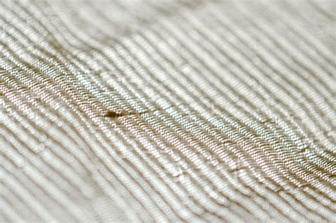 Early Signs Of Bed Bugs 5 Red Flags To Look For Naplab