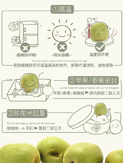 猕猴桃怎么催熟 发财农业网