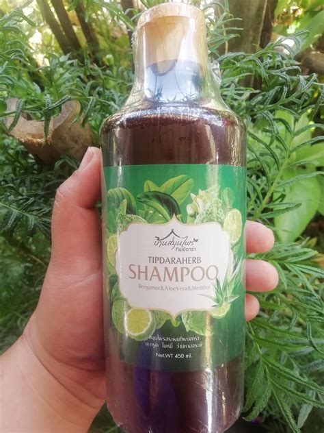 🍀🌲🍀🌲🍀🍀 ️ ️ ️ ️ 🍃🍃 สูตร 1 ใบหมี่ มะกรูด ว่านหางจระเข้ และสมุนไพรสูตรเฉพาะอีก 9 สมุนไพรสระผม