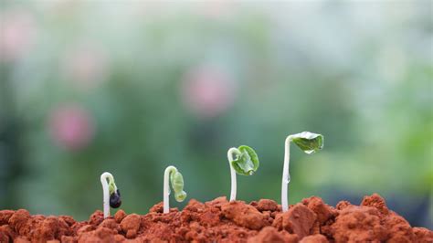 The Evolution Of Brazilian Malware Cyware Alerts Hacker News