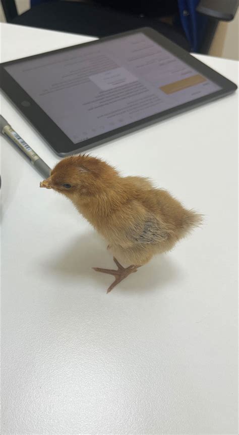 Hanan Hasan On Linkedin Technology Arduino Education Inspiration