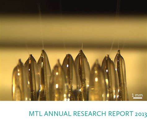 Mtl Annual Research Report 2013