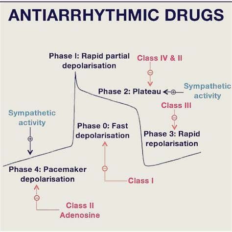 Antiarrhythmics Classification Vaughan Williams Epomedicine