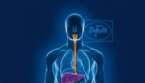 Dysfagie En Eosinofiele Oesofagitis Eoe Doc Learning