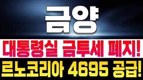 금투세 폐지 소식 르노가 금양에게 4695배터리 받는다 금양 금양주가 금양주가전망 Youtube