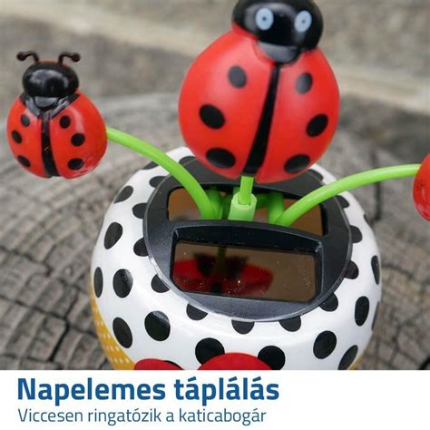 Napelemes Virág Katica Ajandekkozponthu