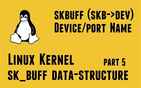 Linux Kernel Network Programming Struct Skbuff Data Structure Skb Dev Deviceport Name