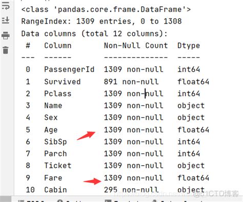 机器学习泰坦尼克号数据集数据预处理 泰坦尼克号数据集分析pythonmob64ca140dc73b的技术博客51cto博客